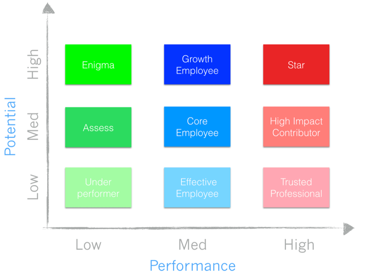 People Management Talent Development The McKinsey 9 Box Matrix 